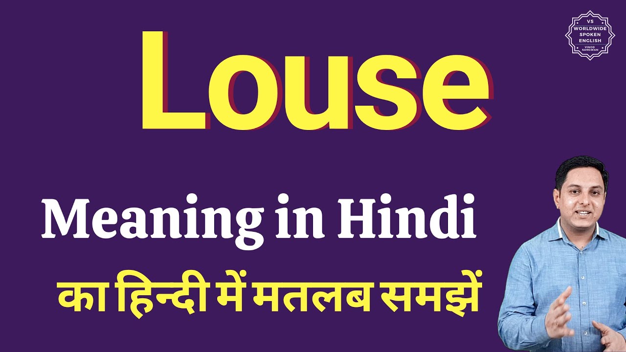 Louse meaning in Hindi | Louse ka matlab kya hota hai - YouTube