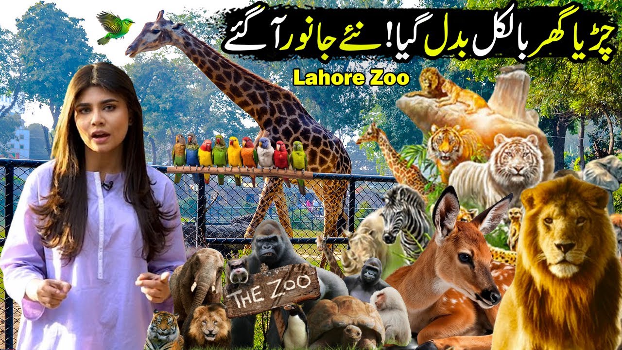 Lahore Zoo in 4K | New European Style Zoo In Pakistan | Lahore Zoo ...