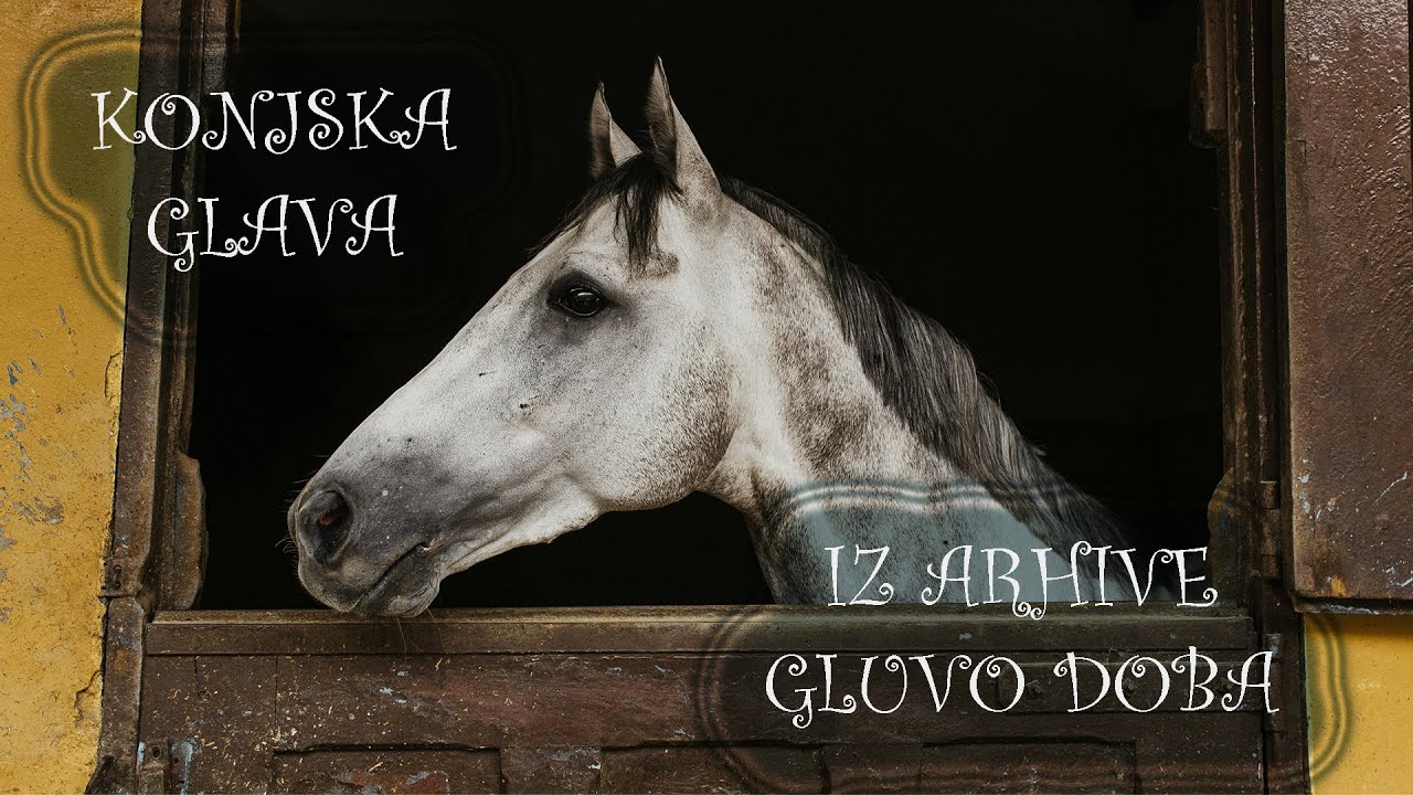 KONJSKA GLAVA - YouTube