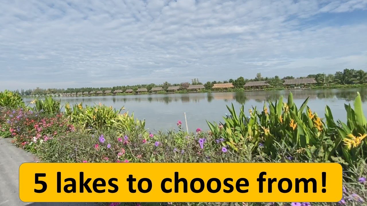 Thainana Thai Nana fishing in Thailand. Giant Siamese Carp, Mekong ...