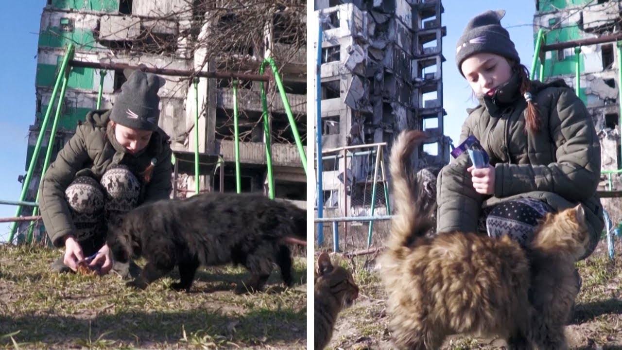 After Her Cat Became Feral When Russia Invaded, A Ukrainian Girl Began ...