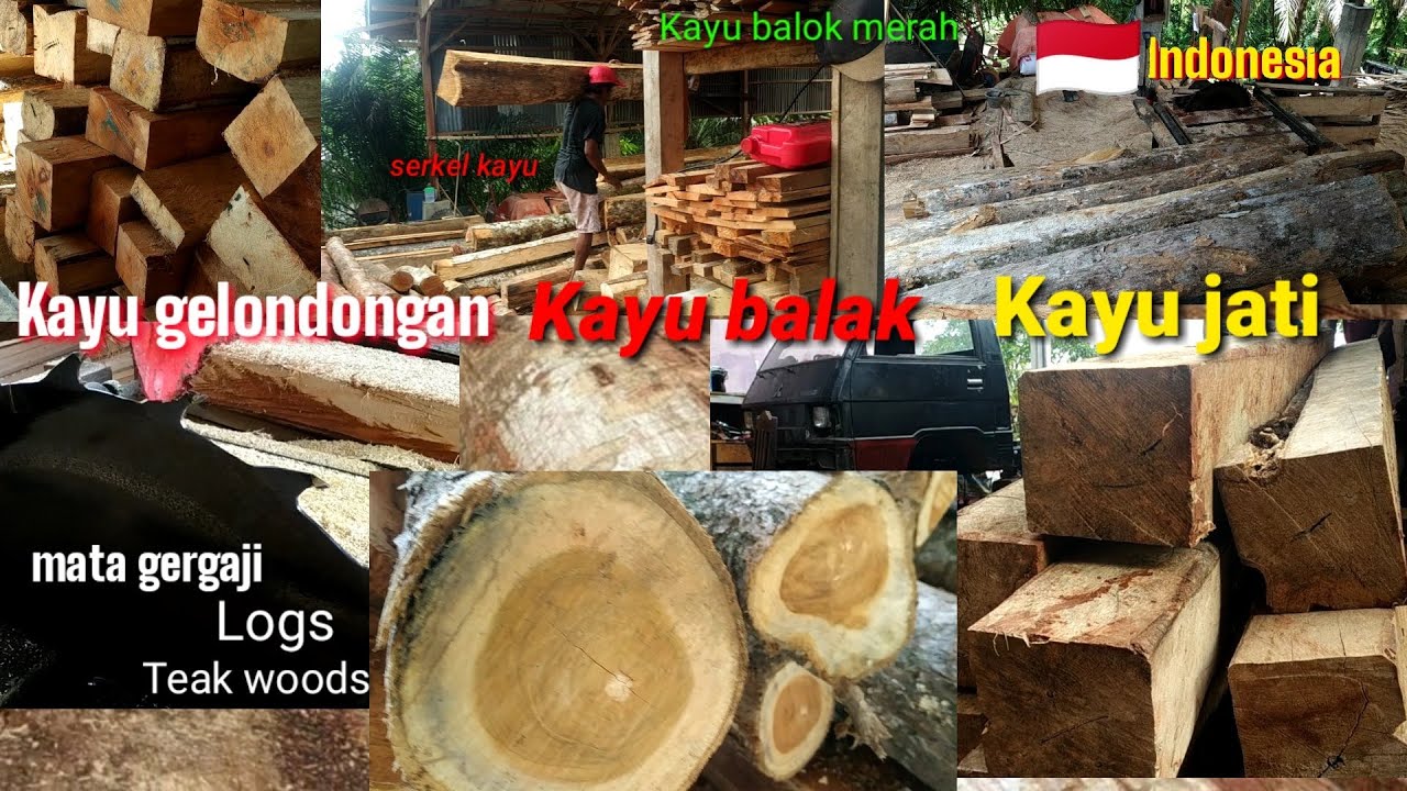 Kayu gelondongan, Kayu balak, Kayu jati, Kayu balok merah, kayu log ...