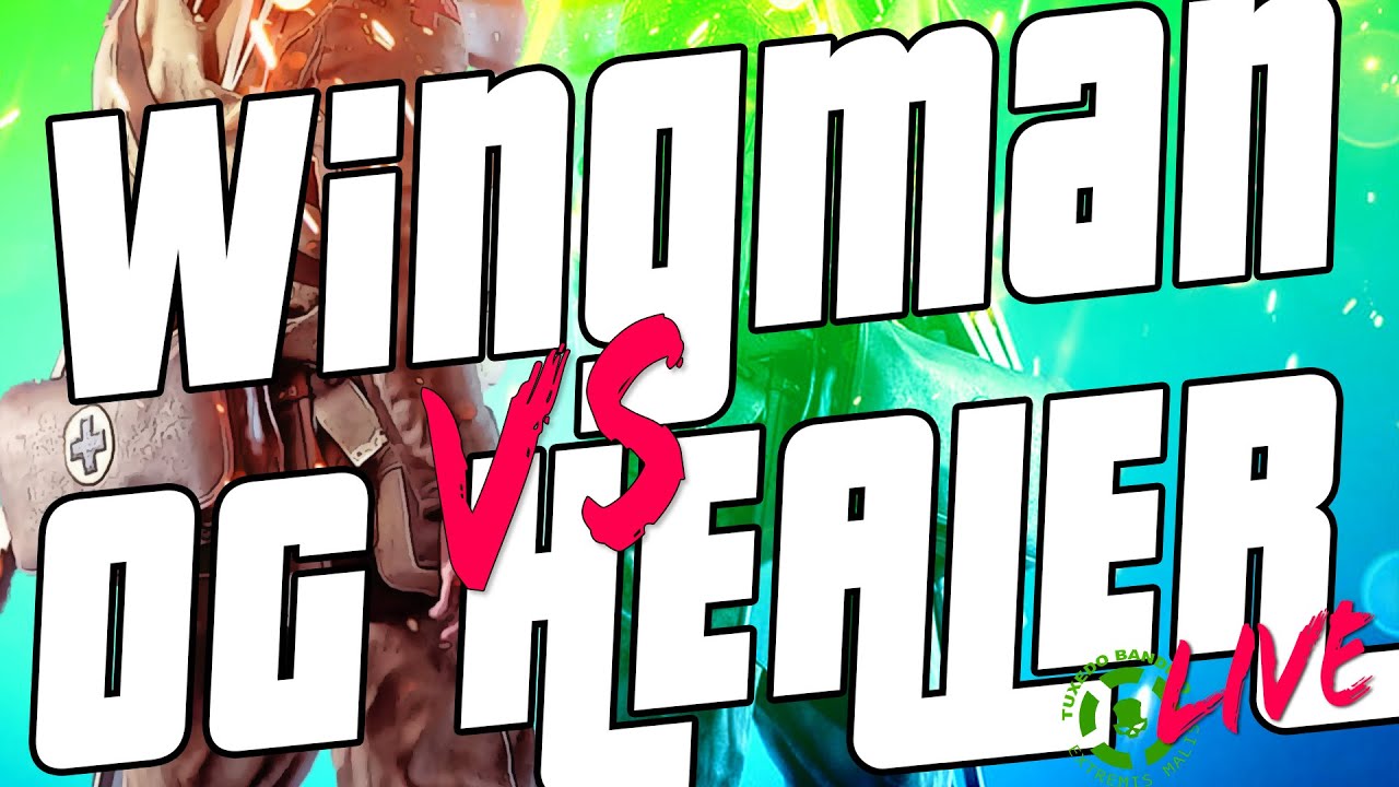 Ultimate Wingman vs OG Healer | Division 2 Build - YouTube