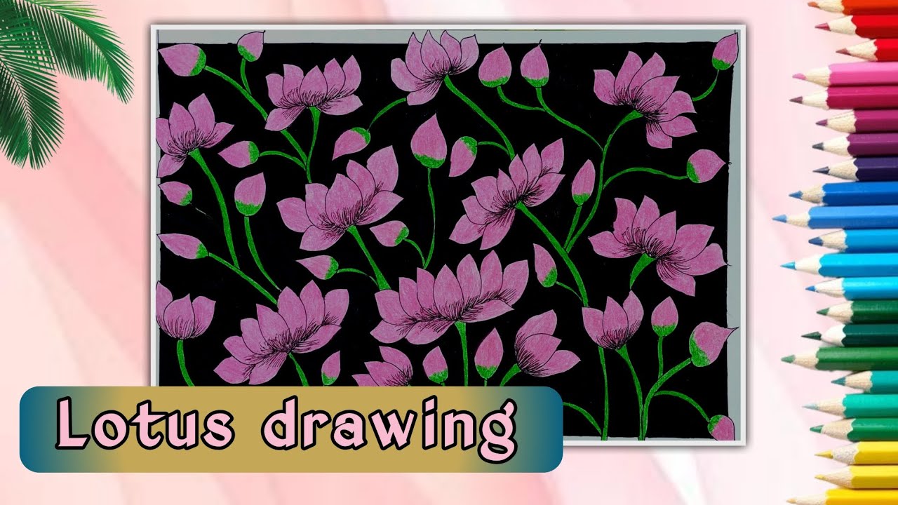 Lotus Drawing || How To Draw Lotus 🪷 || Easy Lotus Drawing step by step ...