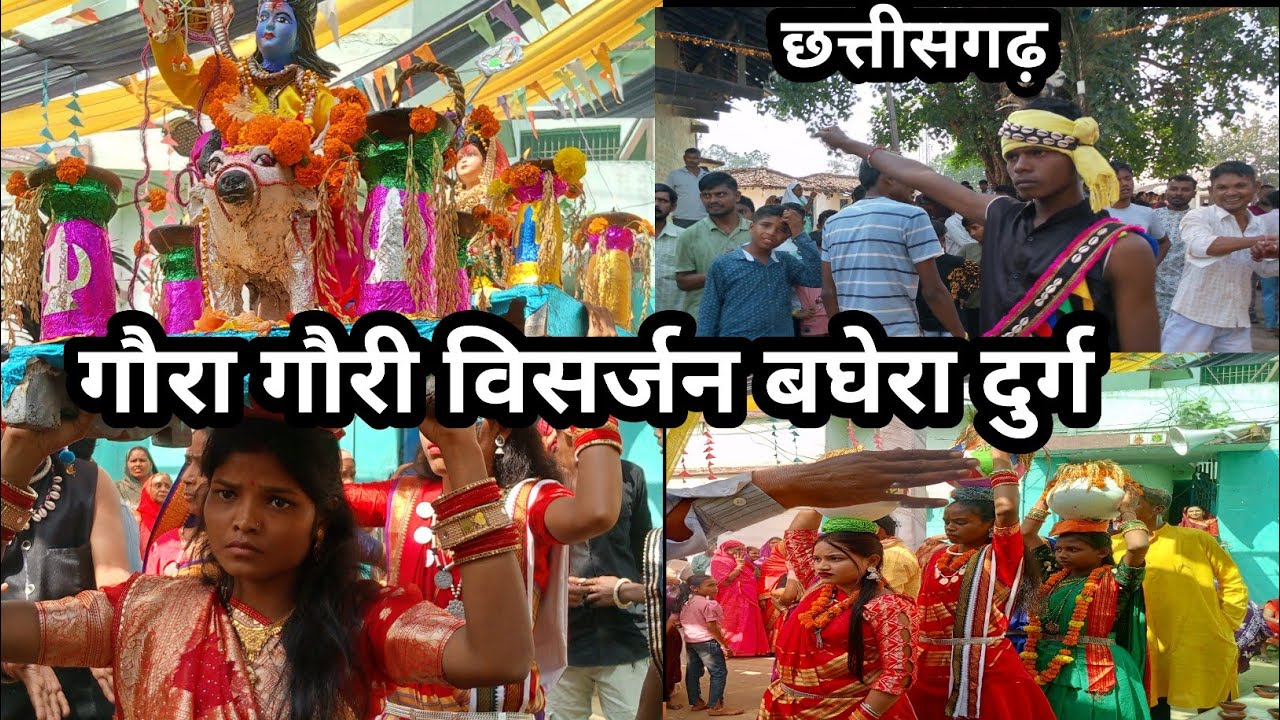 gaura Gauri Visarjan 2024 | Chhattisgarh |Govardhan puja 2024 | Durg ...