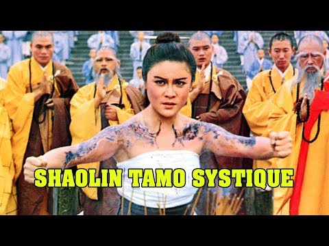 Wu Tang Collection - Fight For Shaolin Tamo Systique (Mandarin)