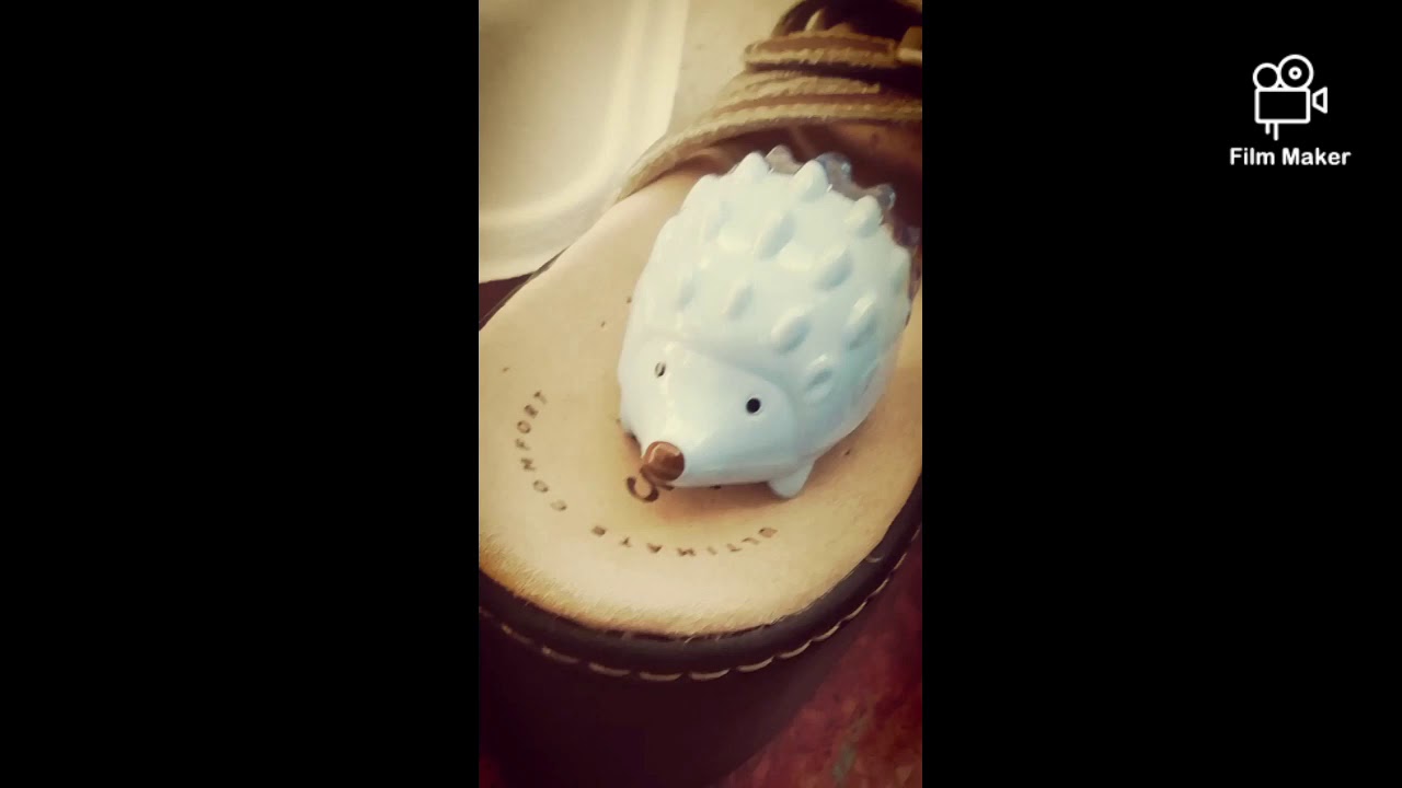 ERIZO MUERTO- Meme YouTuber - YouTube