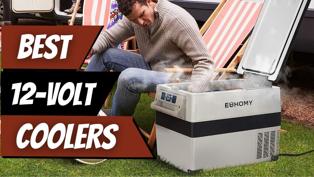 Top 5 Best 12V Coolers for Camping, Road Trips, Car, and More - YouTube