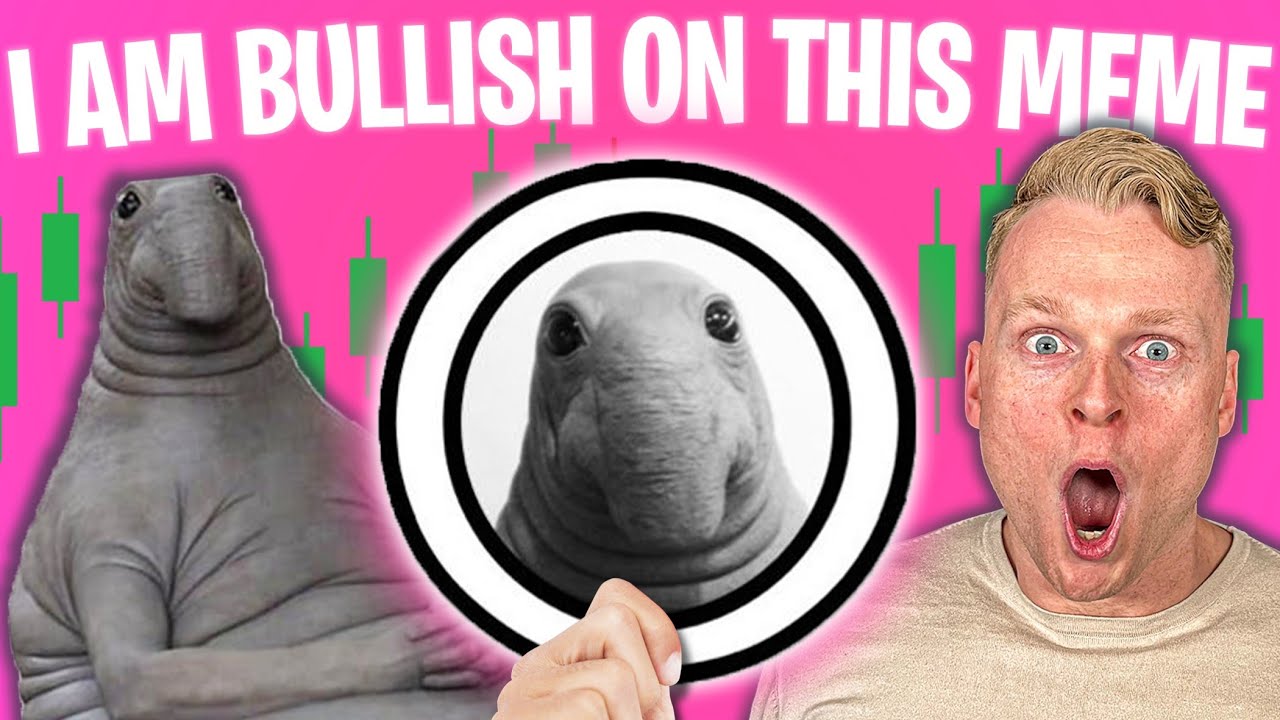 Instantly BULLISH on this WOSH 100X SOLANA MEME COIN When I Saw It ...