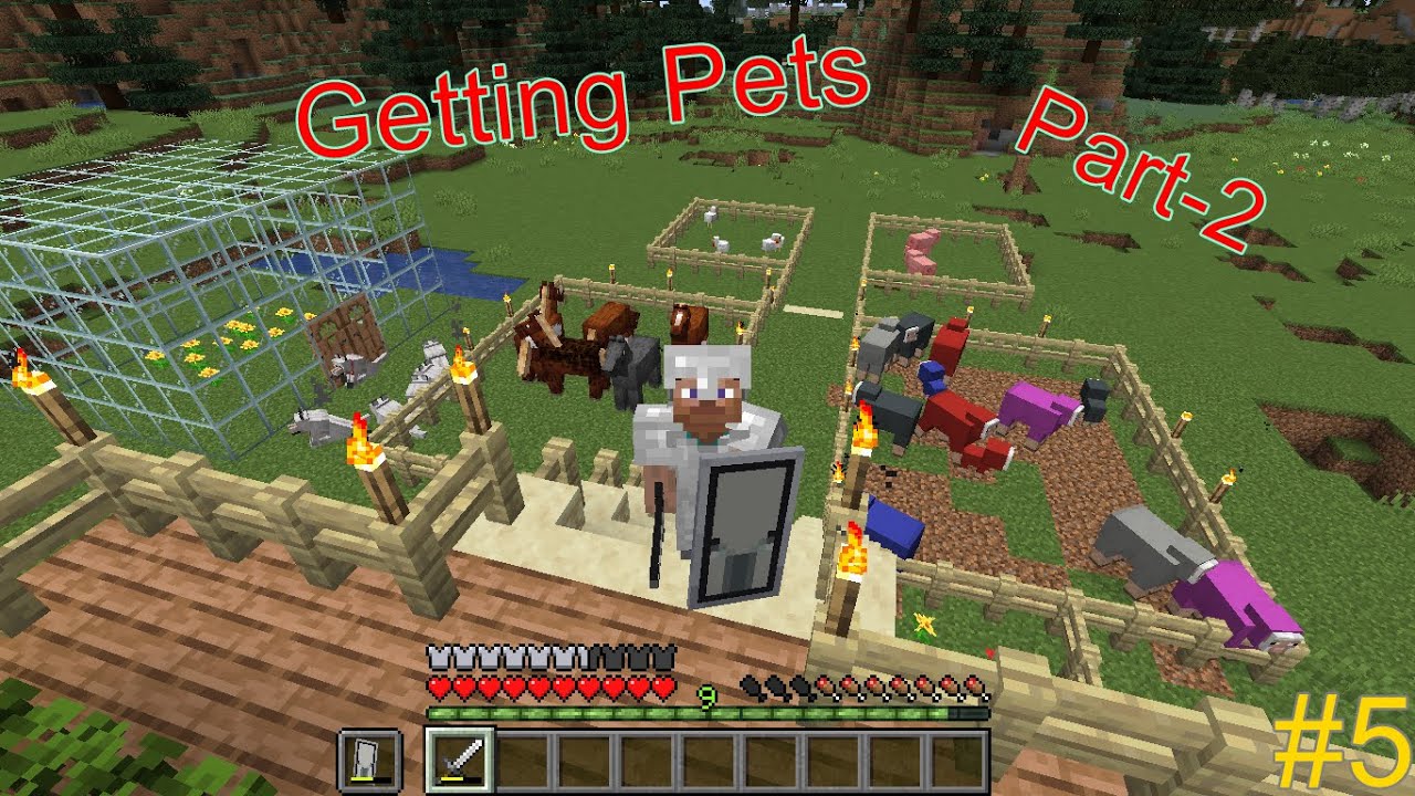 Getting Pets | Part-2 | Minecraft Episode 5 - YouTube