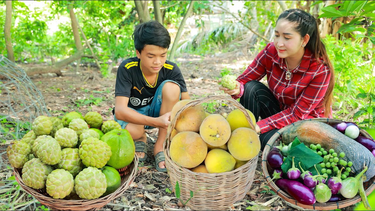 Pick sentol fruit and collect some vegetable around home for cooking ...