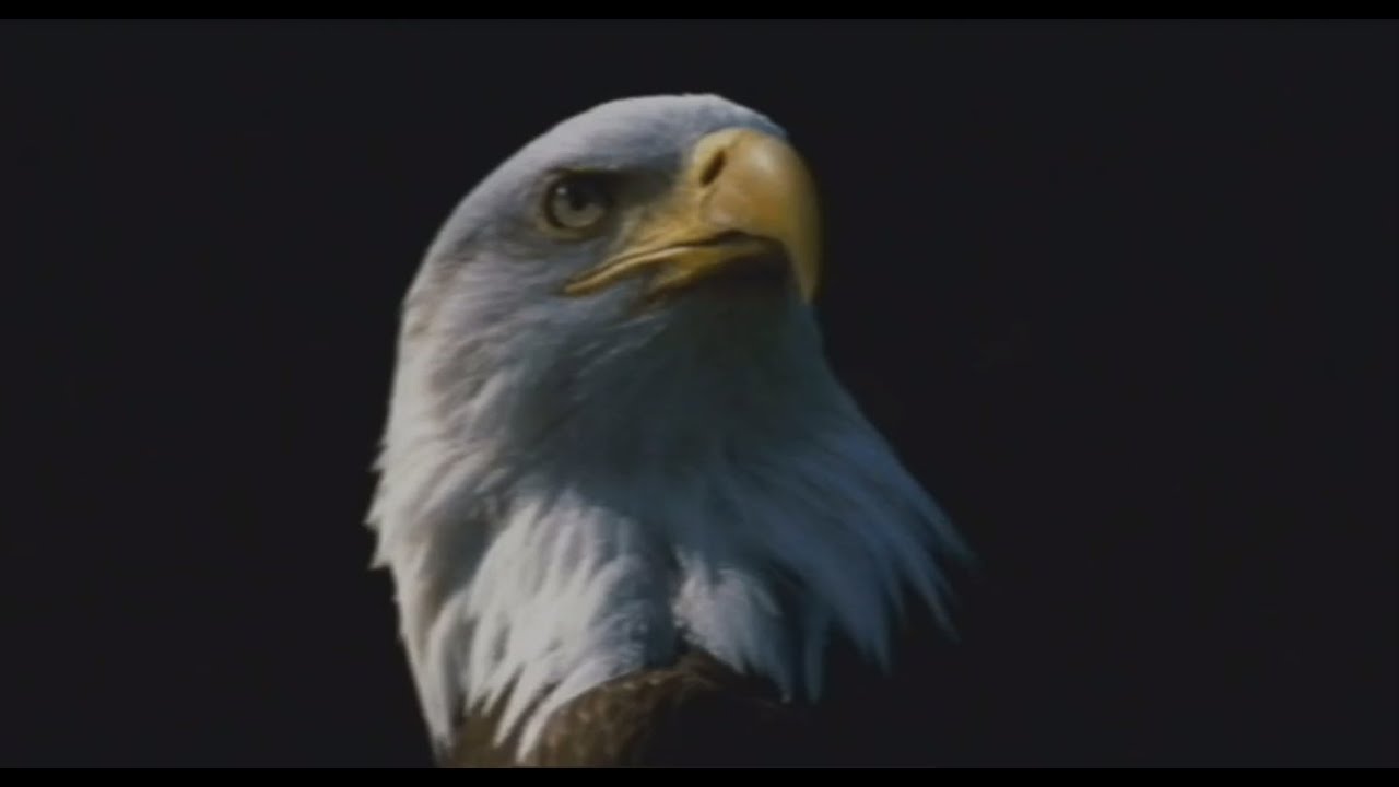 20190616 - The Life of the Eagle - Bro. Bobby Thompson - YouTube