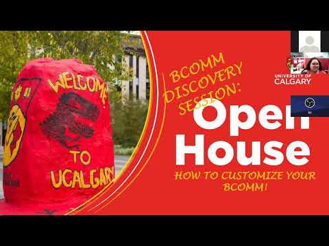 Customize your BComm! A program overview and how to make the BComm work ...