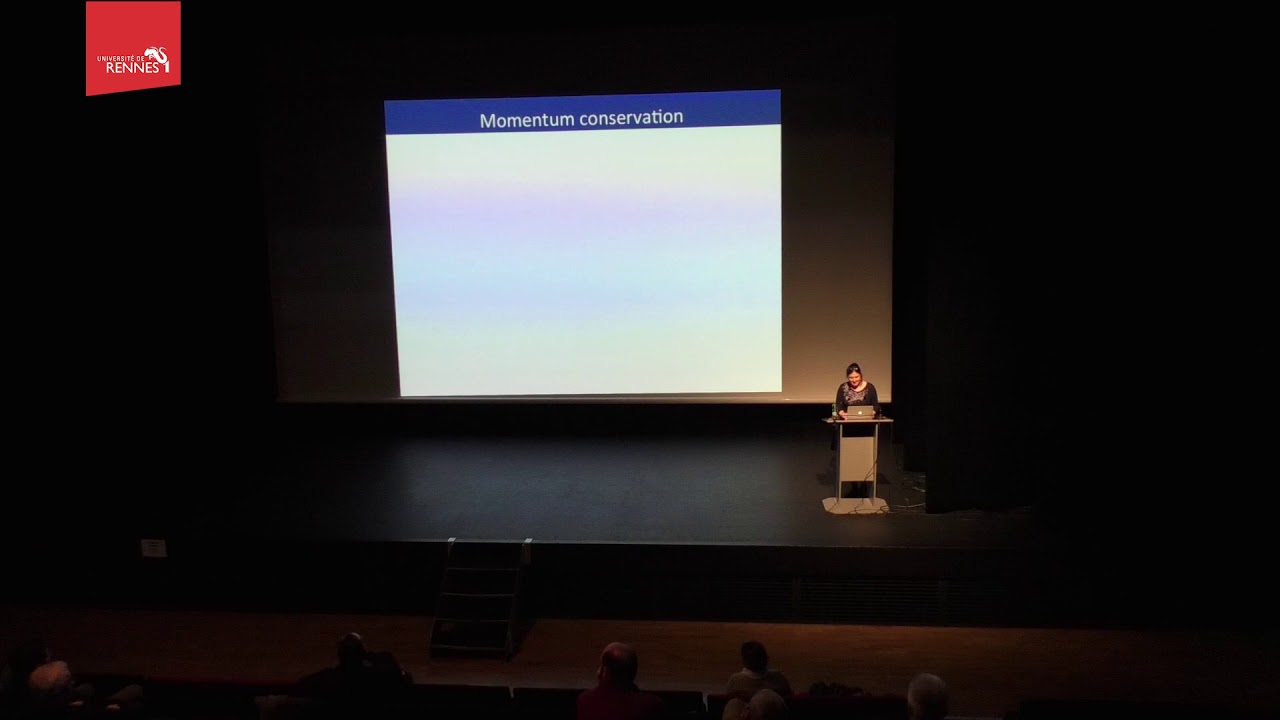 ConferenceI PR 1/12/18 : Marie-Caroline Jullien "Confinement de bulles ...