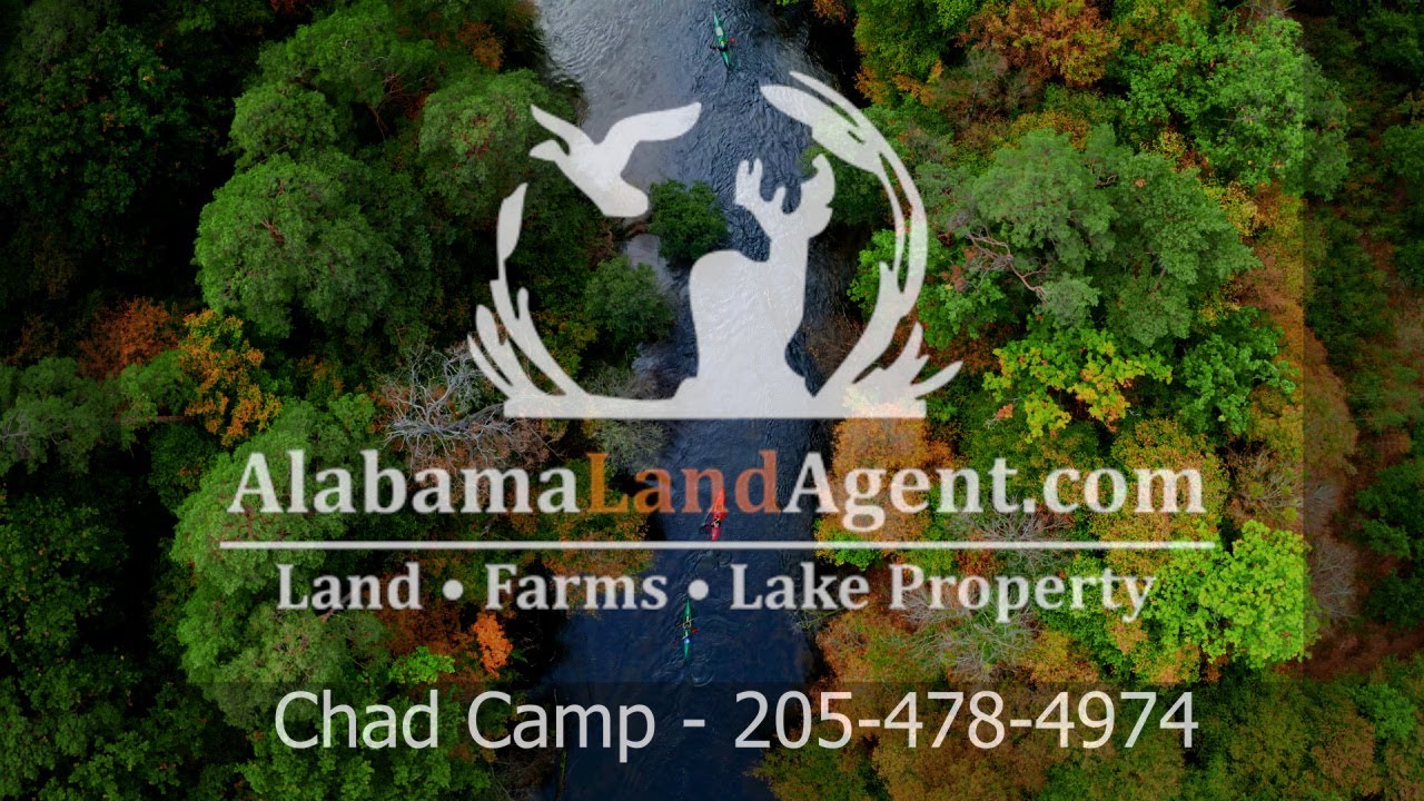 Land: More Than an Investment – A Legacy- Land For Sale - Call ...