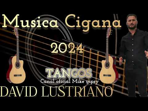 MUSICA CIGANA 2024 DAVID LUSTRIANO #rumbaportuguesa #musicacigana
