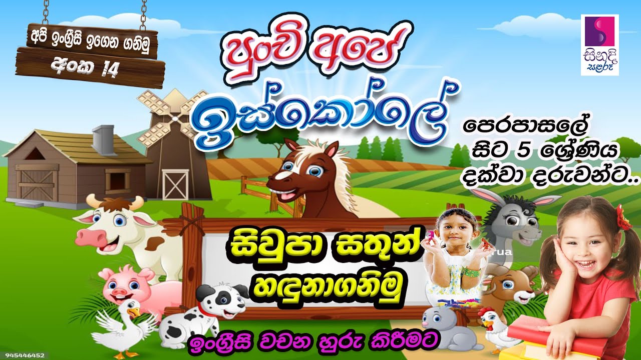 Let's We Learn Quadruped Animals | සිව්පා සතුන් හදුනාගනිමු - YouTube