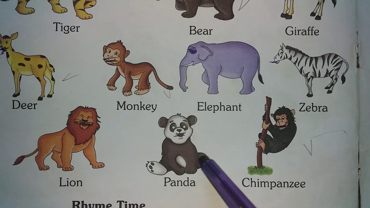 For Nursery and Kg Wild animals - YouTube