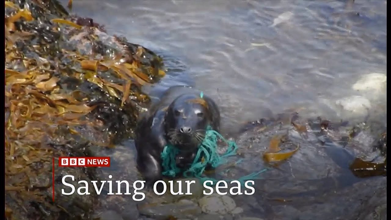 Saving the Seas with recycling old fishing nets (UK/Global) - YouTube