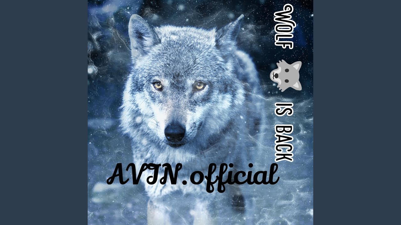 Wolf is back - YouTube