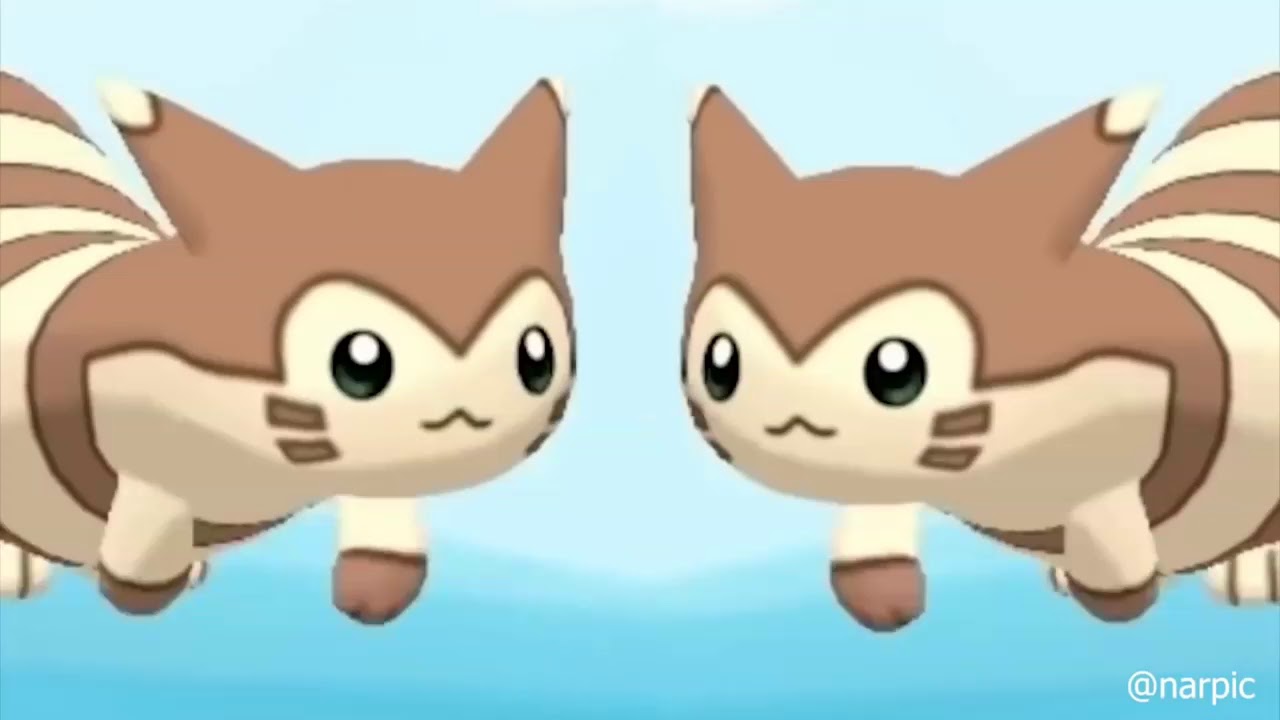 furret walk for 3 minutes ;3 - YouTube