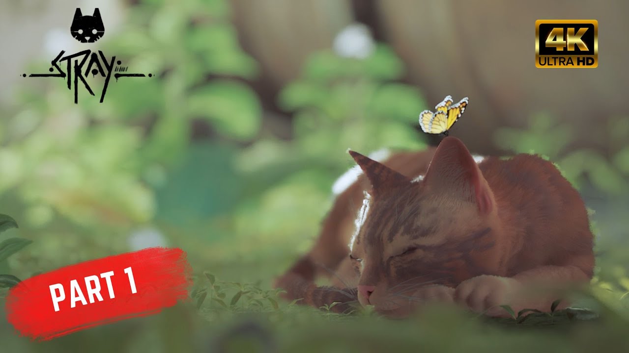 STRAY - PART 1 Gameplay Walkthrough (NO COMMENTARY) - YouTube