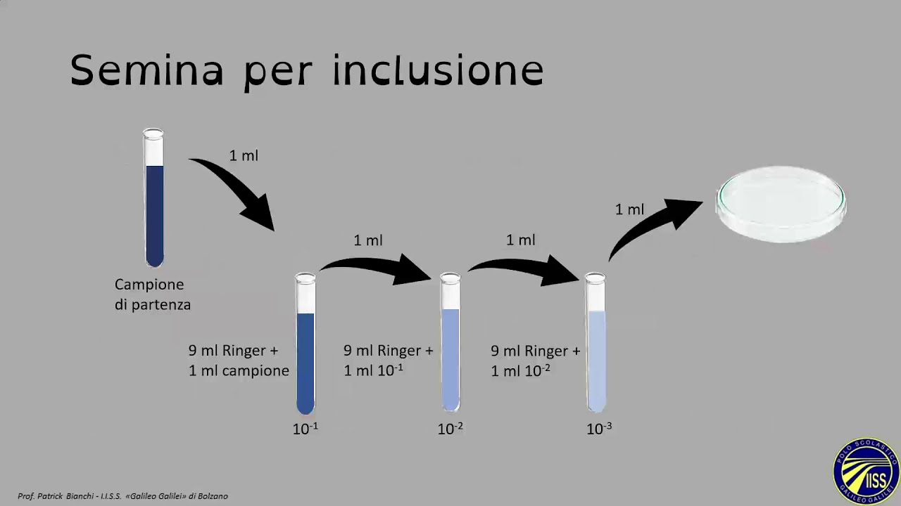 Tecniche di semina - Corso di microbiologia - YouTube