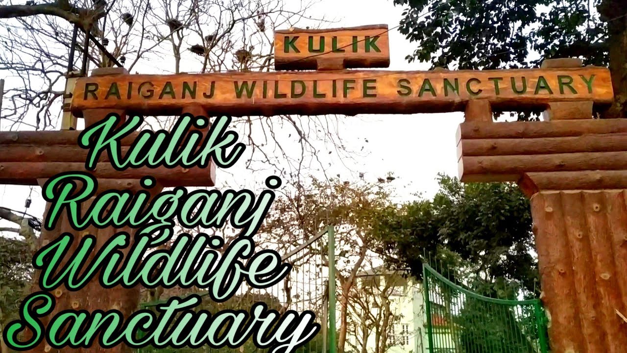 Kulik forest Raiganj | Kulik bird sanctuary - YouTube
