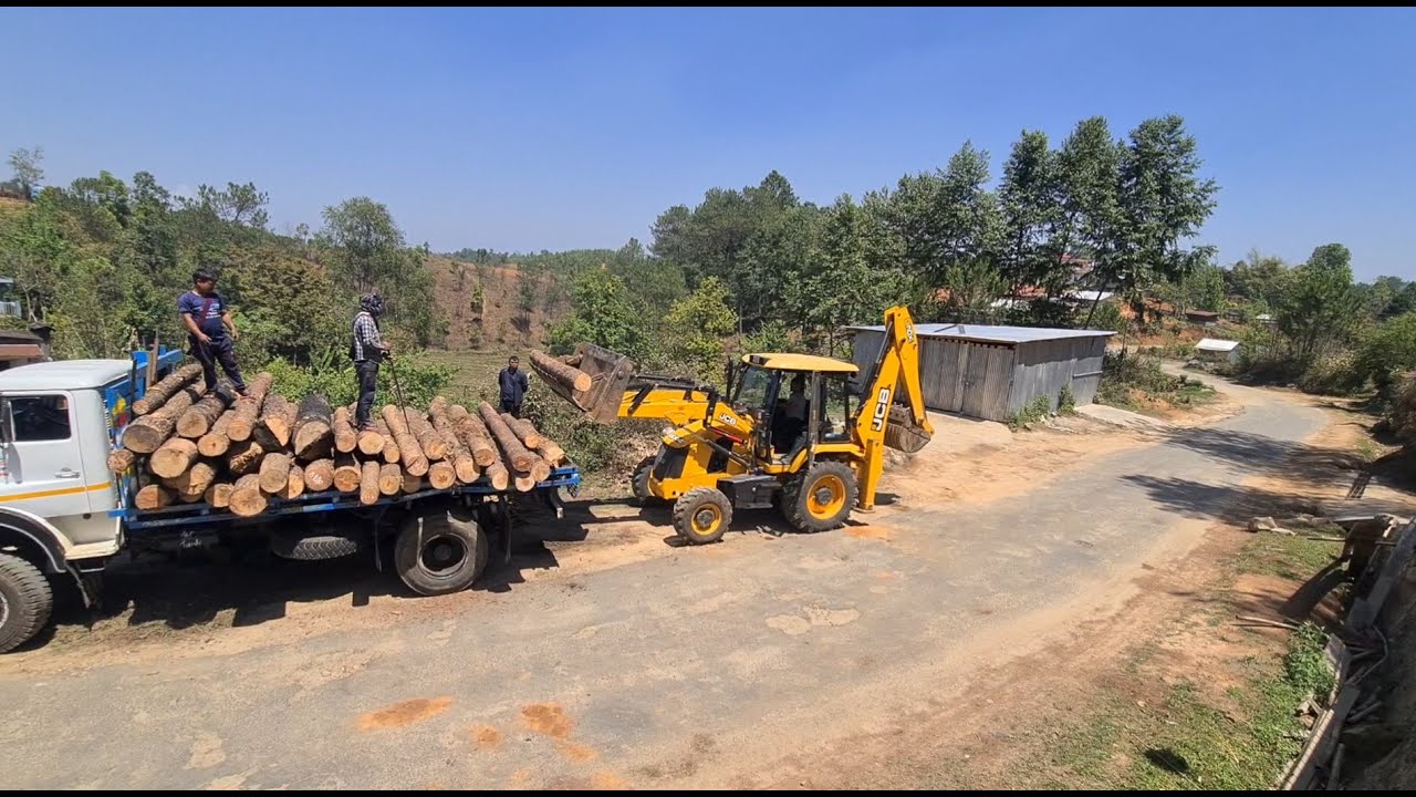 jcb loading timber (log) into a truck || jcb loading log into a truck ...