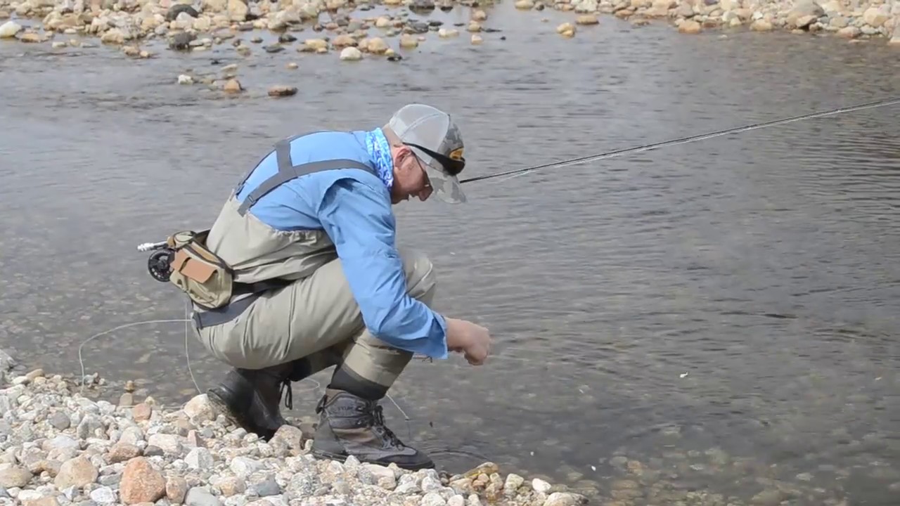 Fly fishing in the Bighorn Mountains - YouTube