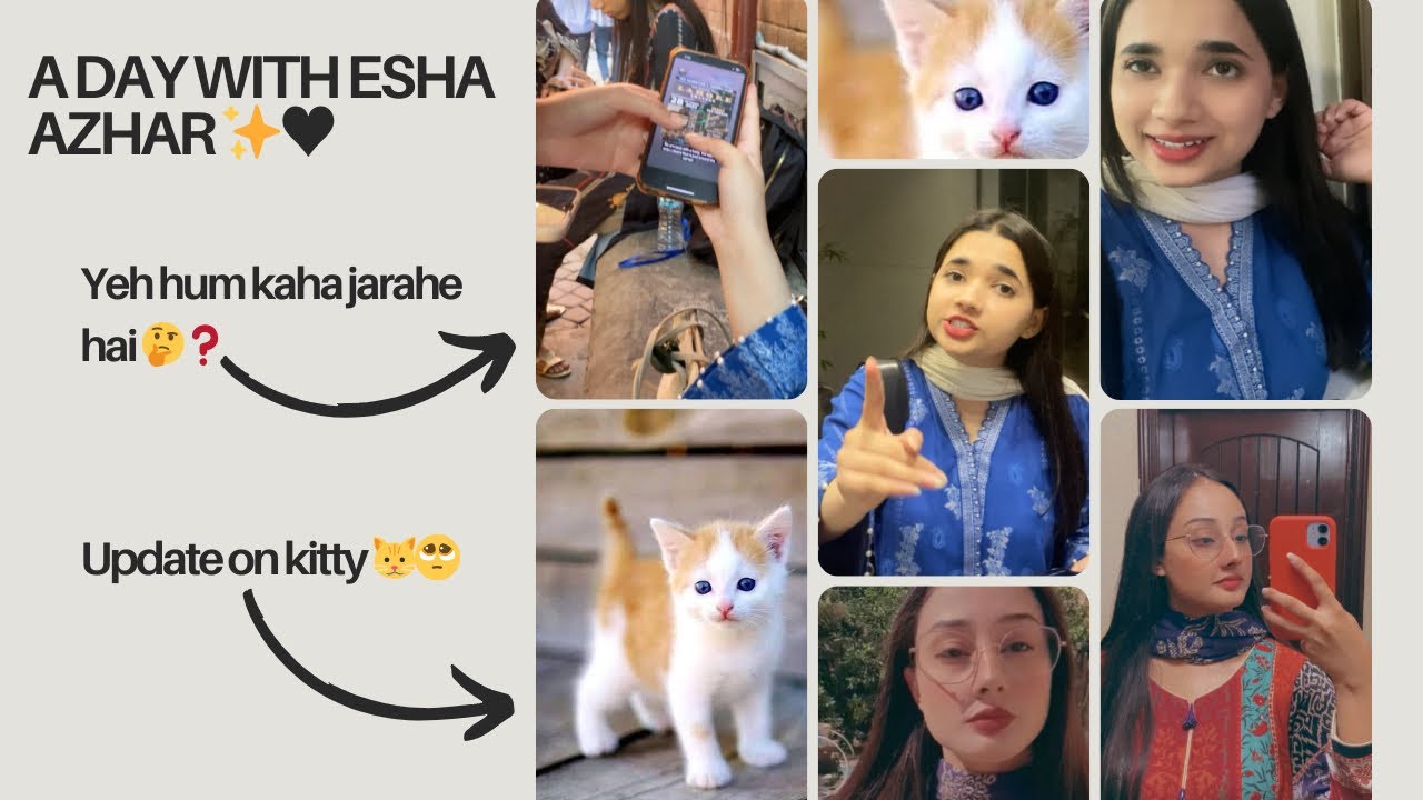 Hum Kaha Jarahe Haen 🤔? | Updates on Kitty 🐈| Amna Gusse Mein | Raja ...