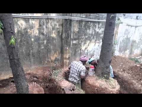 Big Trees Moving and Transplanting Trees in Chennai./India - YouTube