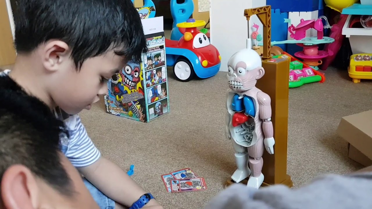 Human Body Mode | Educational Game | kids game | fun activity - YouTube