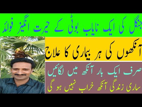 Eyesight weakness treatment :Atsat biskhapra ke fawaid.اٹ سٹ کے طبی ...