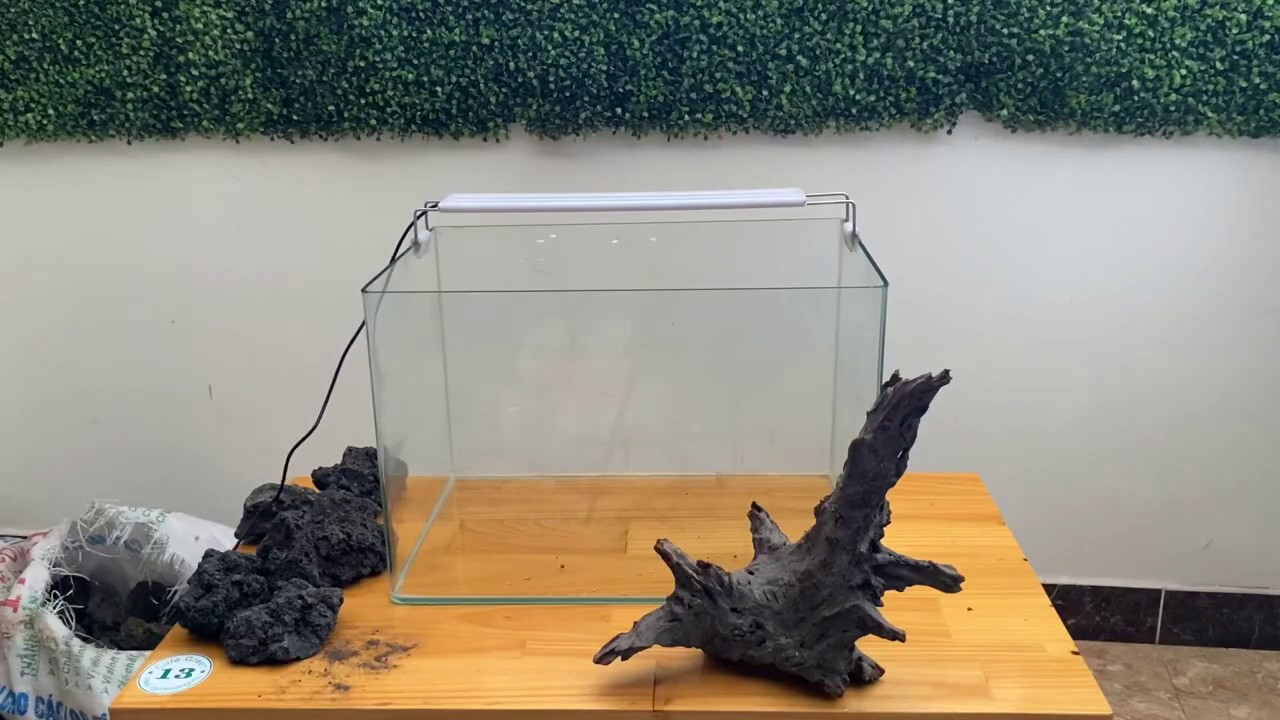 Setup Biotop in 15 minutes - Hướng dẫn làm hồ Biotop cực đơn giản trong ...