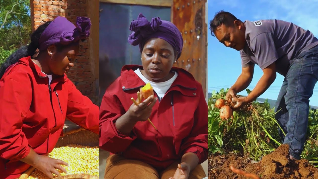 Hit the ground corn for sigma today. - YouTube