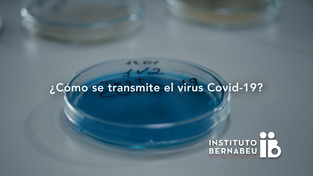 Covid-19 - ¿Cómo se transmite el virus Covid-19? - YouTube