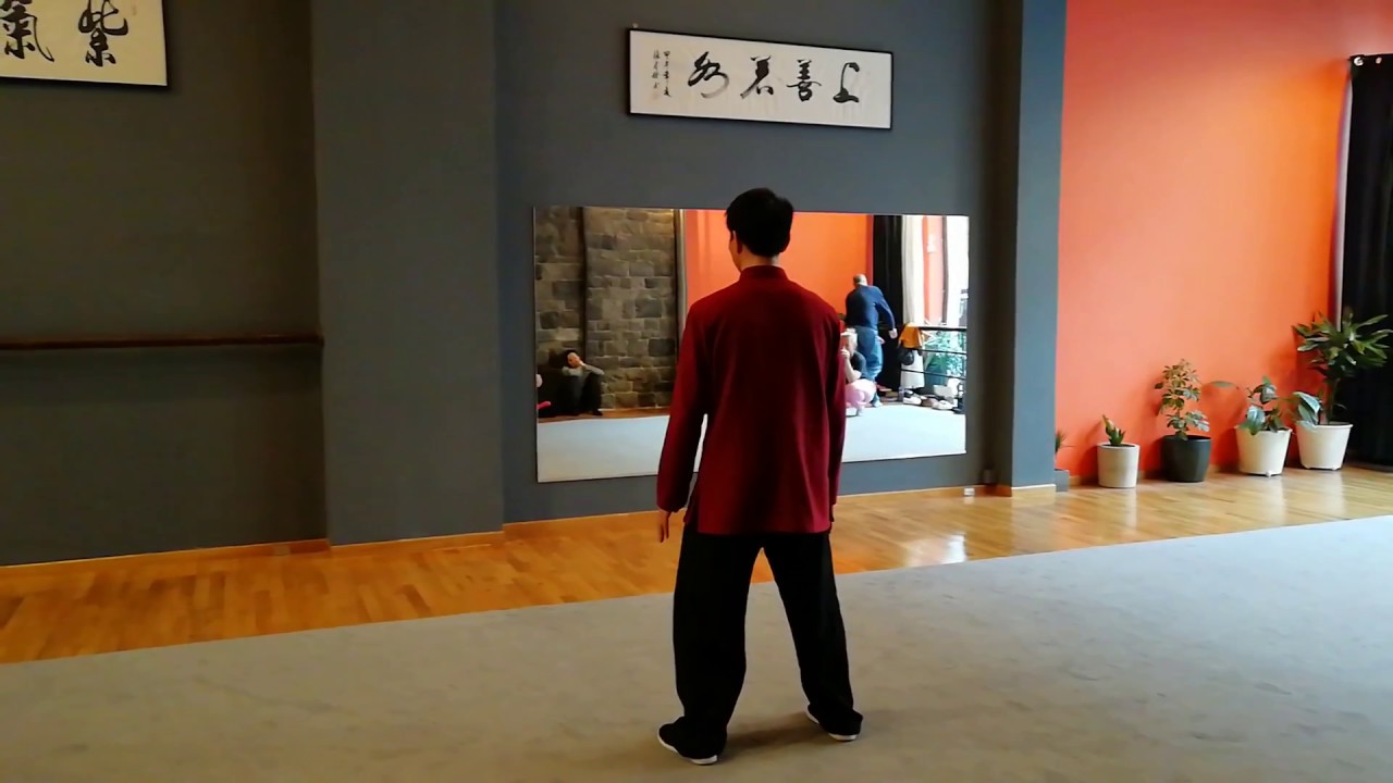 Master Chen Bing 2018 Athens Seminar - basic 13 postures form 陈炳老师陈氏太极拳 ...