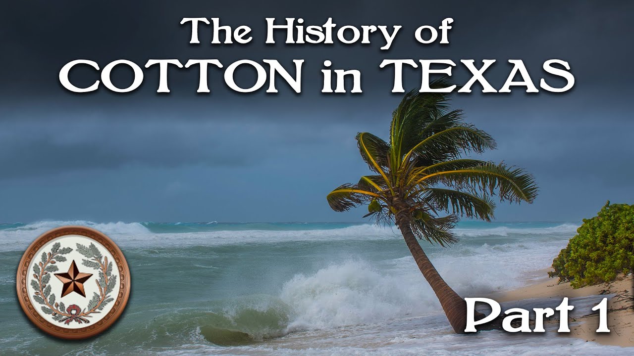 The History of Cotton in Texas, Part 1 - Texas' First Cotton Yarns ...