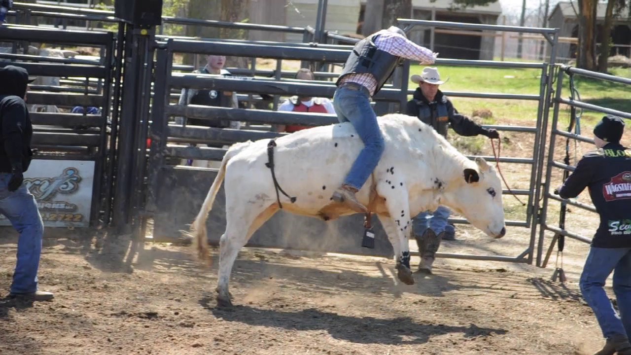 Let R Buck March 2017 - YouTube