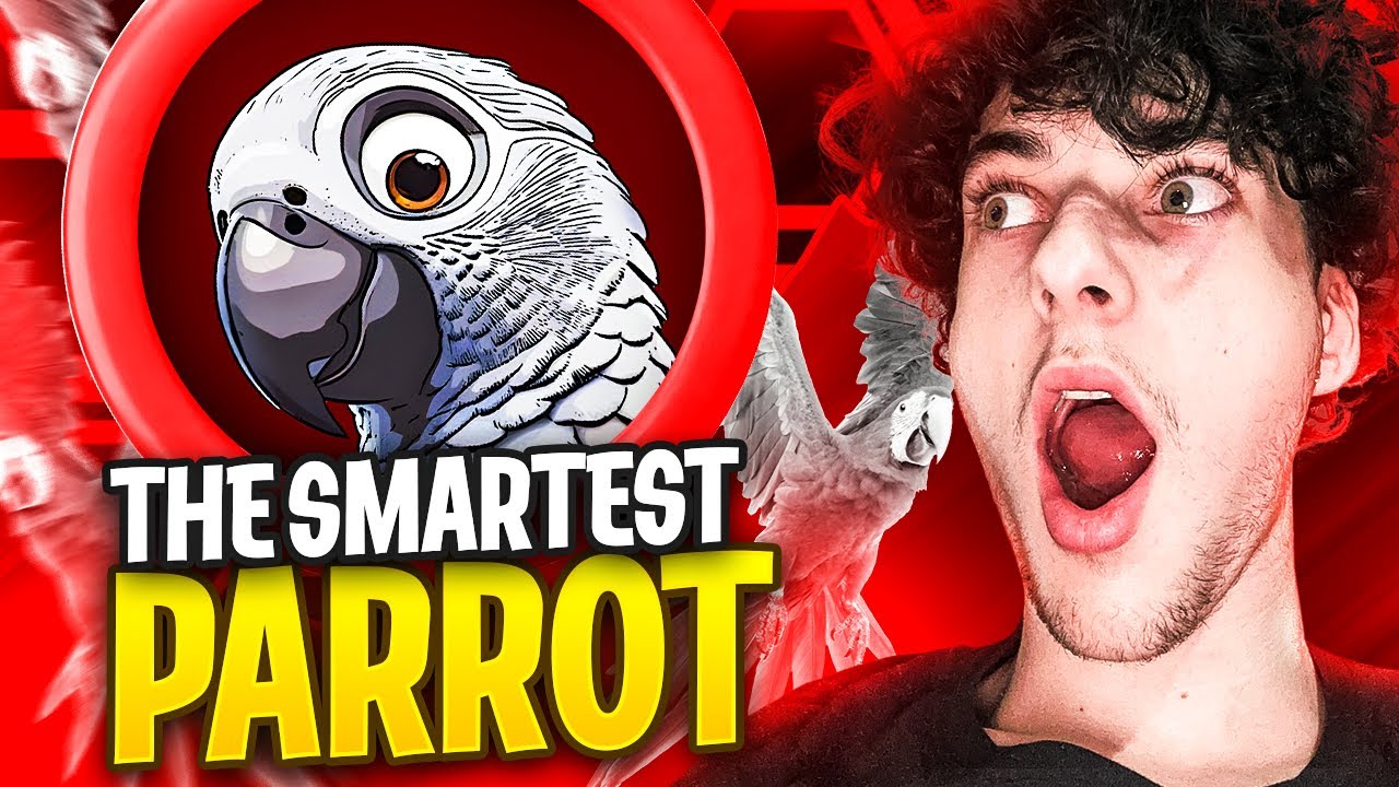 The Smartest Parrot On Solana.. ($PARROT) - YouTube