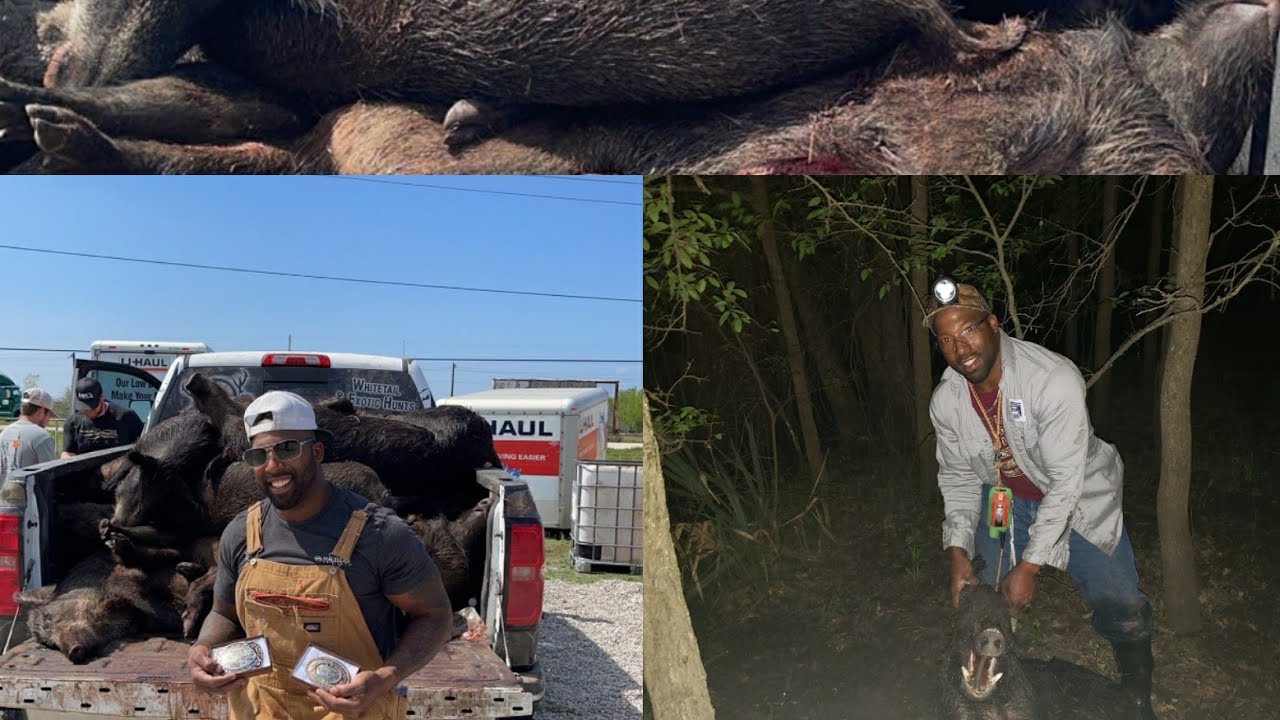Texas Hog Hunting Tournament 🐗 ... Hog Hunting With Dogs 🐕 ! 3 down in ...