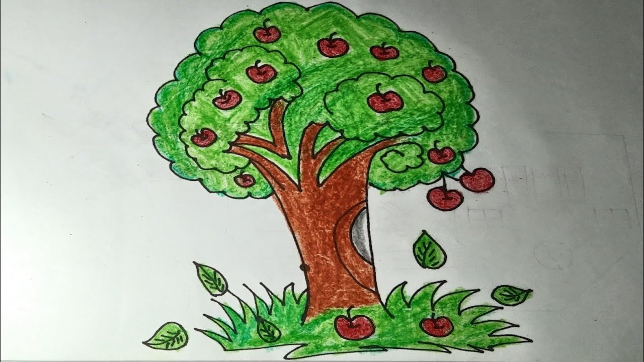 apple tree drawing very easy ll how to draw apple tree in easy way 🍎# ...