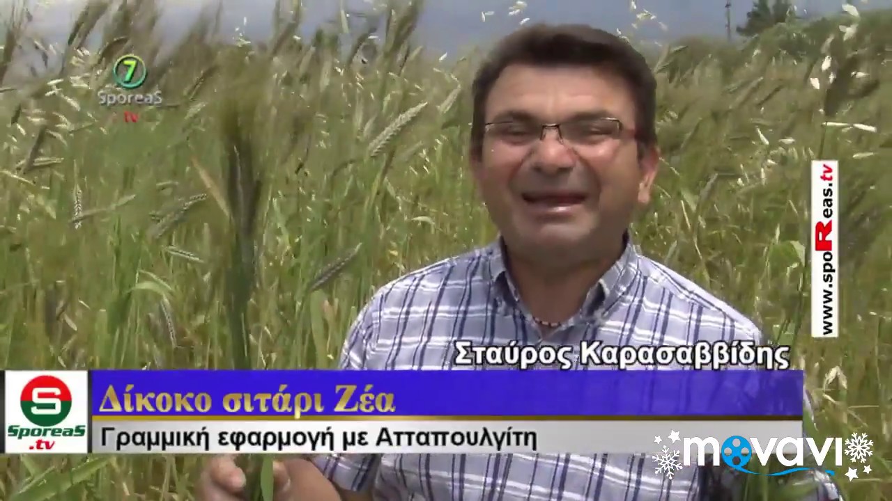 ΣΙΤΑΡΙ ΚΑΙ ΑΤΤΑΠΟΥΛΓΙΤΗΣ.ΜΕΓΑΛΗ ΣΥΓΚΡΑΤΗΣΗ ΤΟΥ ΒΡΟΧΙΝΟΥ ΝΕΡΟΥ ΚΑΙ ...