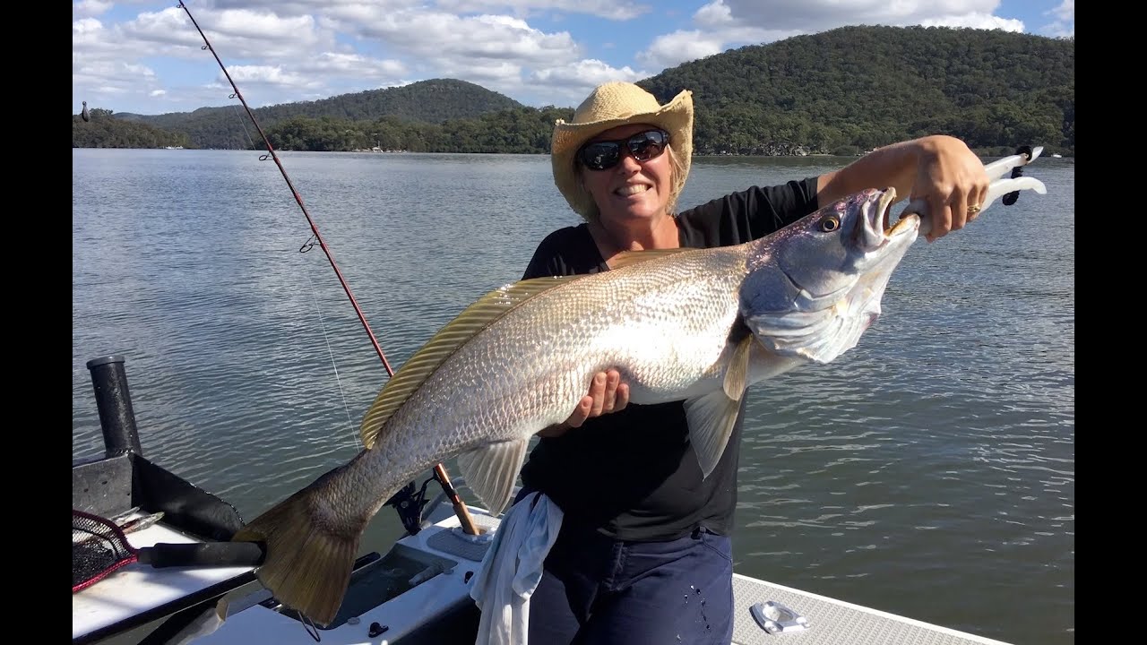To catch a mulloway (jewfish). Meter-plus chrome slab, catch and ...