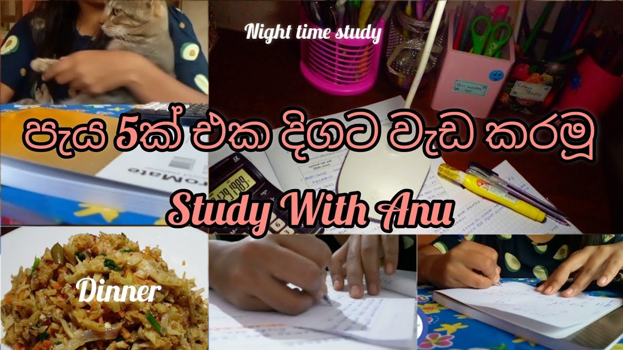 පැය 5ක්නෙක දිගට වැඩ කලේ මෙහෙමයී. study with anu / Episode 2/# 2023 - YouTube