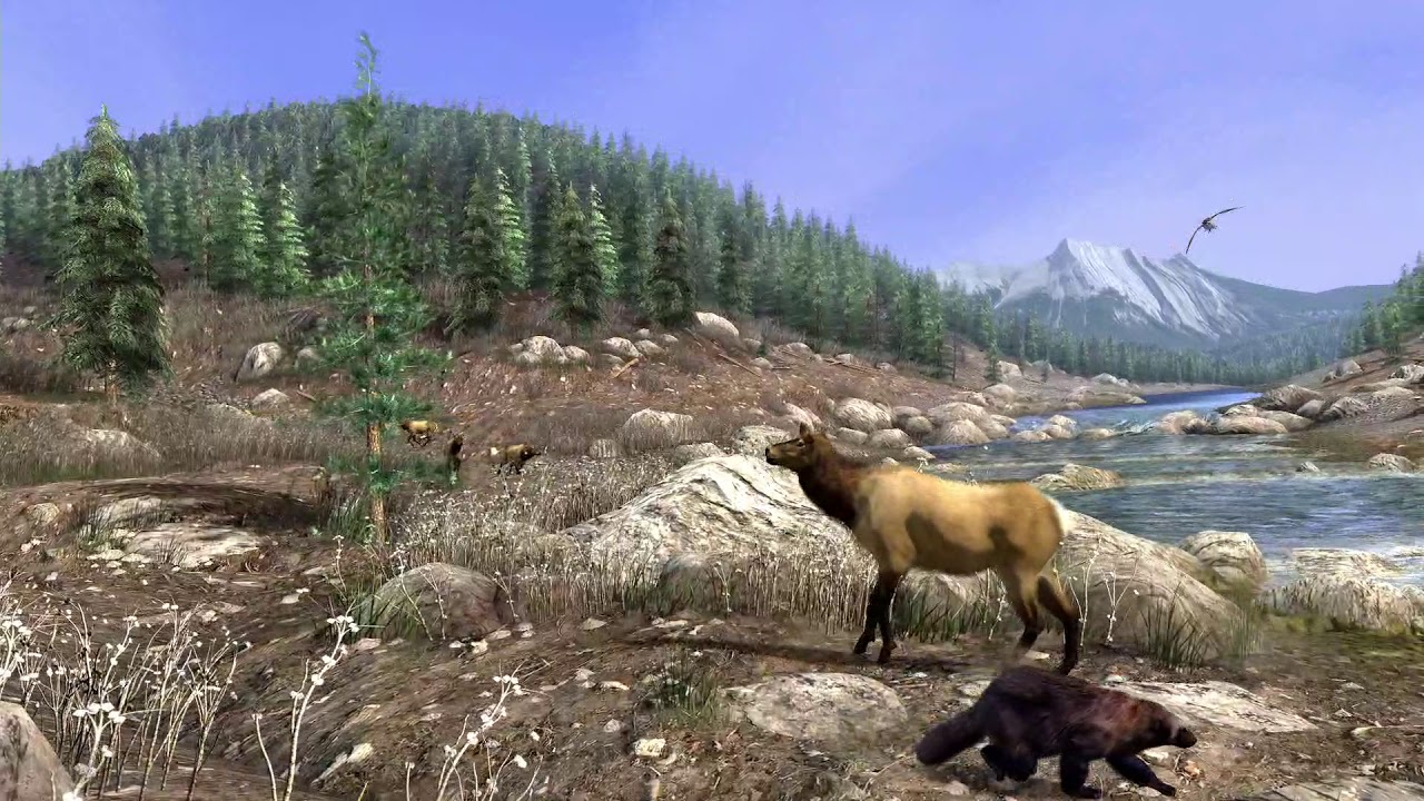 Elk Trek1 Site1 Red - YouTube