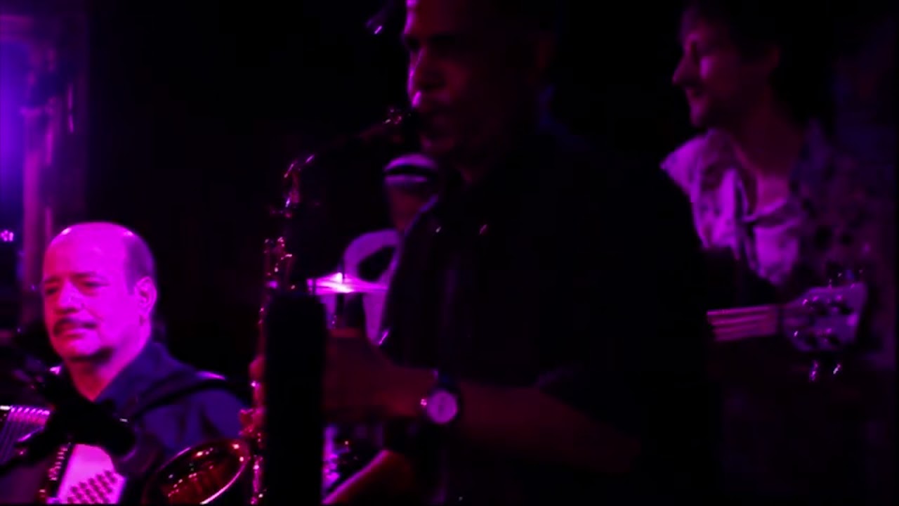 The Baladi Zaffa Band | World Music Ensemble | Last Minute Musicians ...