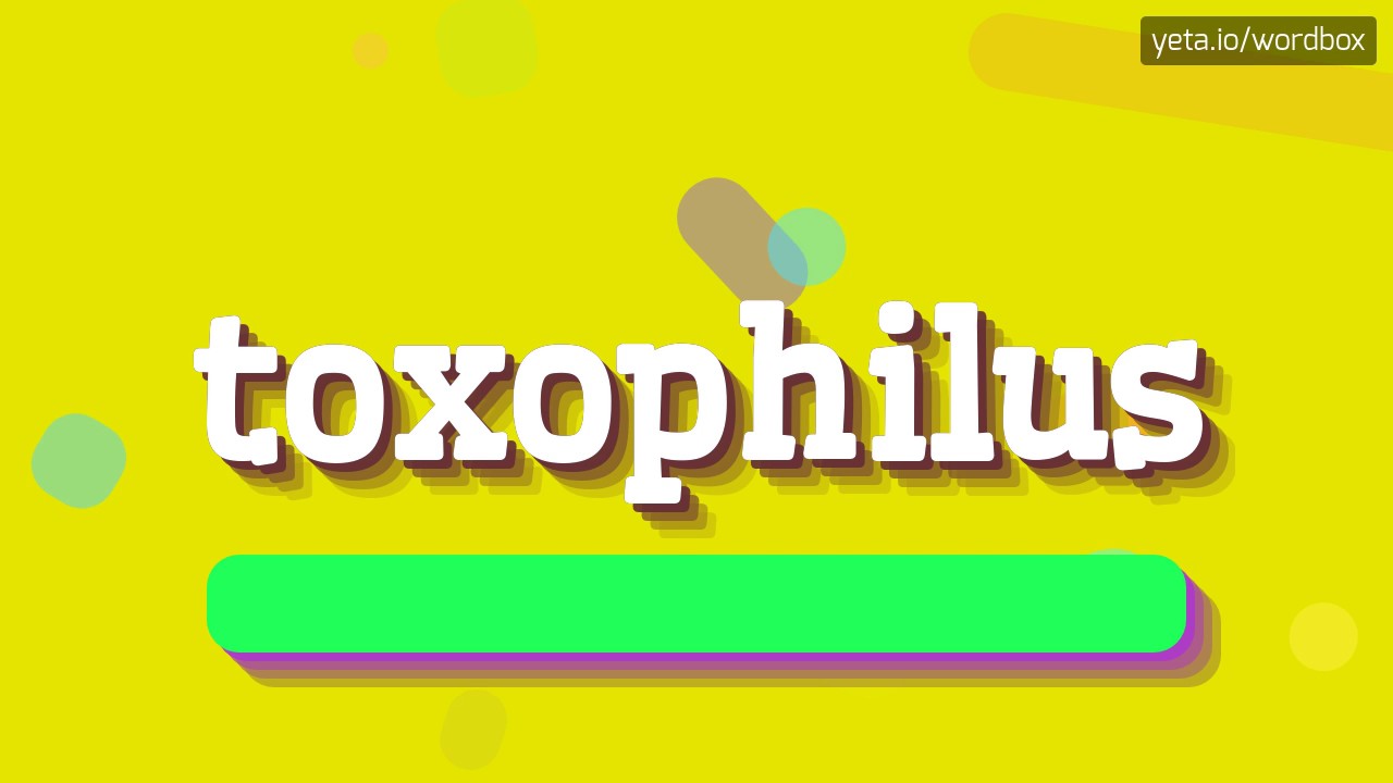 TOXOPHILUS - HOW TO SAY TOXOPHILUS? - YouTube