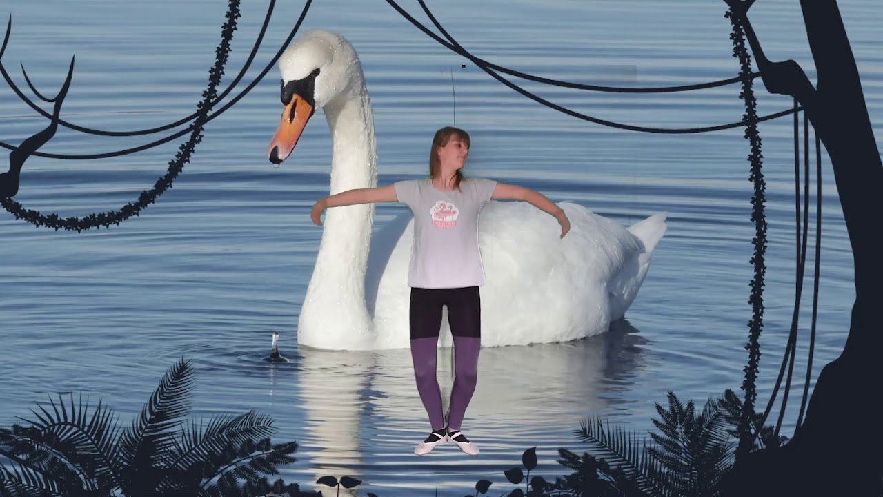 'Carnival of the Animals' Zoology Dance Class - inclusive - YouTube